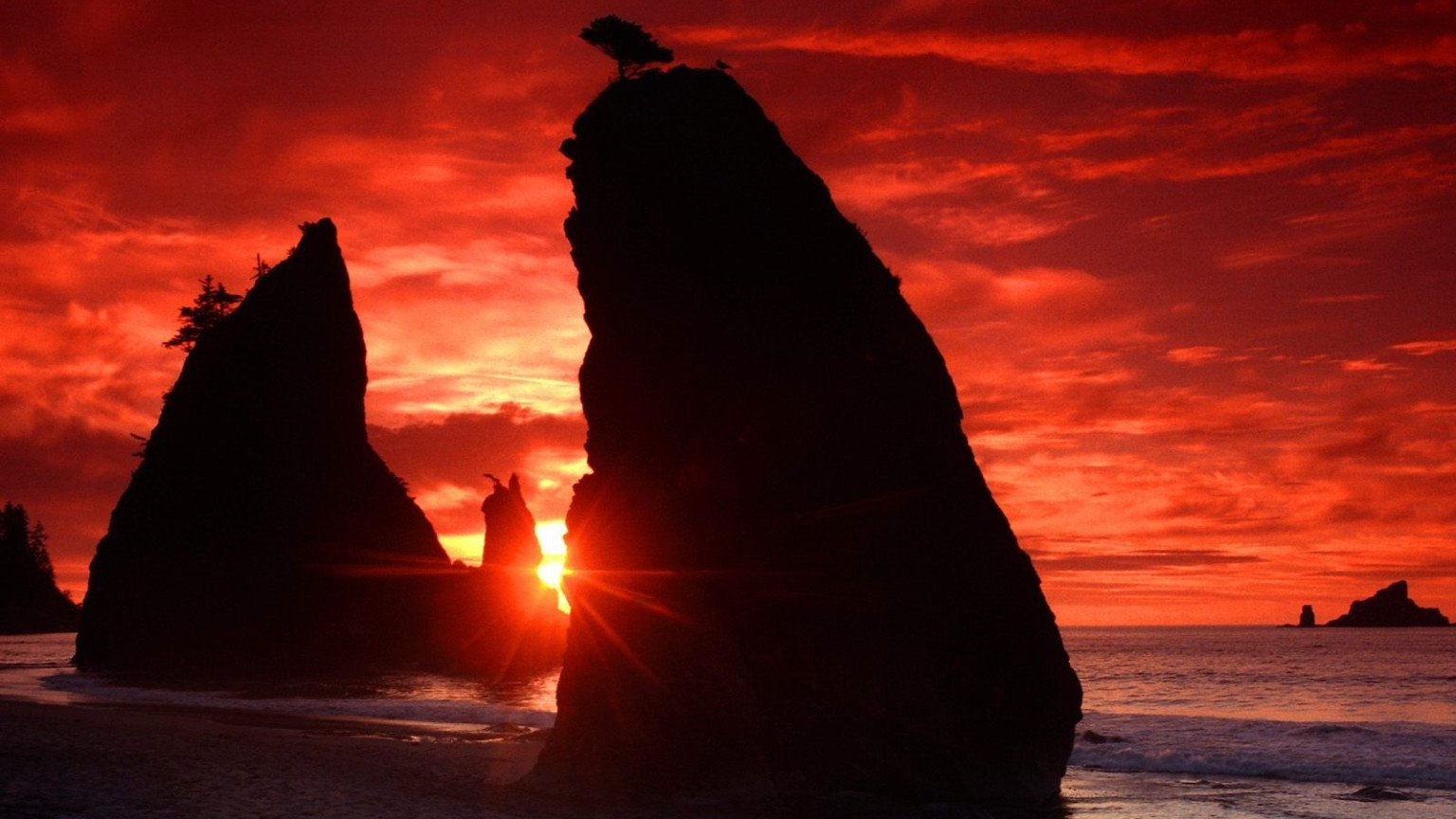 Seaside Battlefield – The Knight of the White Rose – Conquest and ...